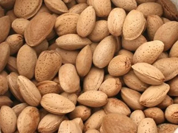 Sadnice Domaći Meki Badem - Rasadnik Profesional